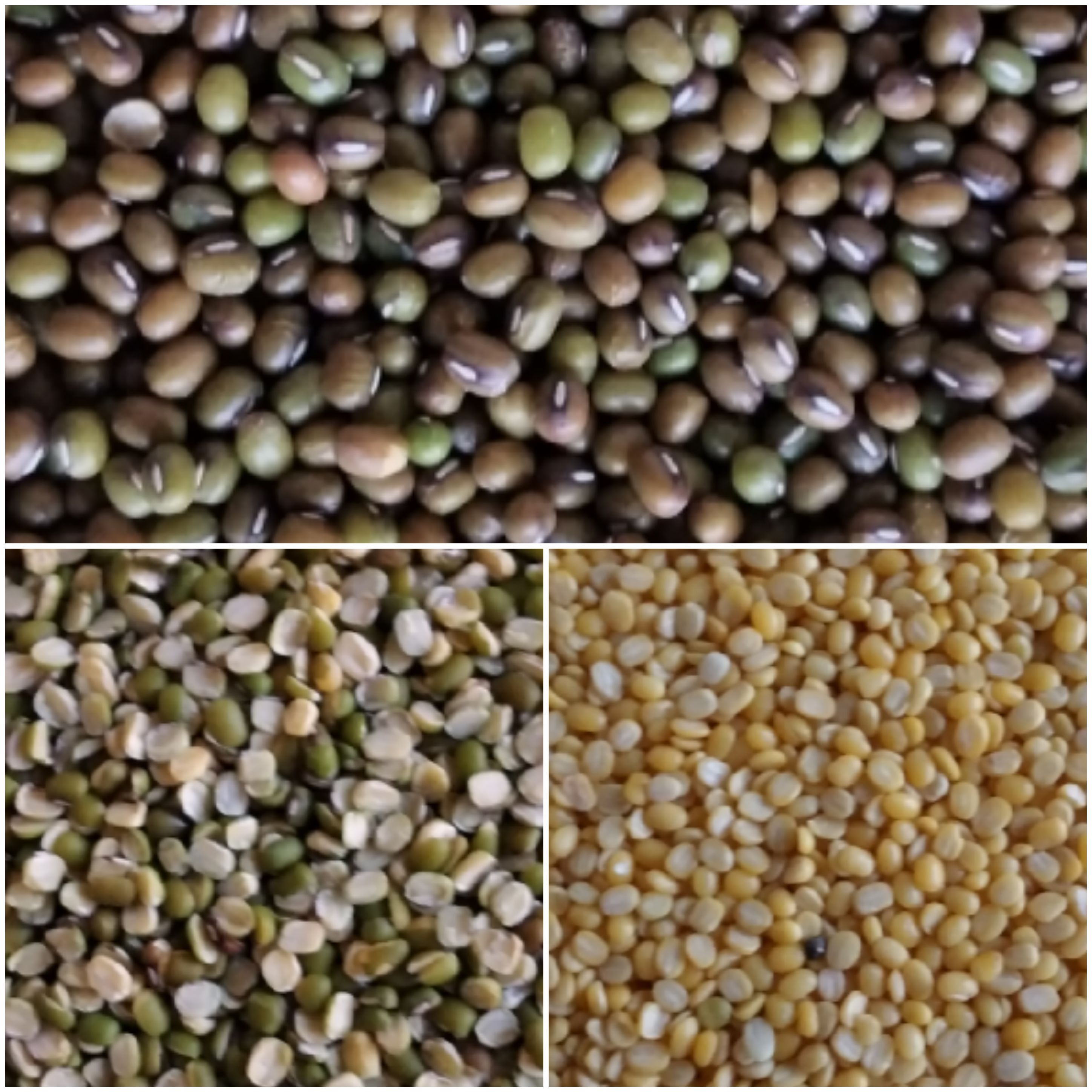 Moong dal – Dal On The Table