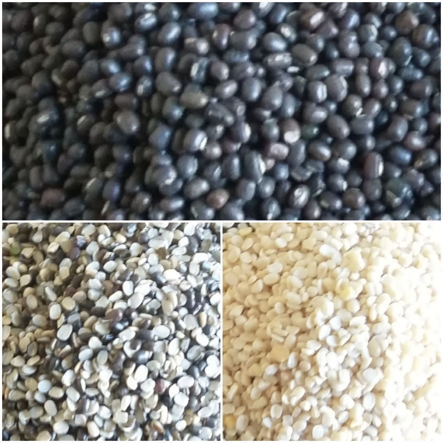 Urad dal – Dal On The Table